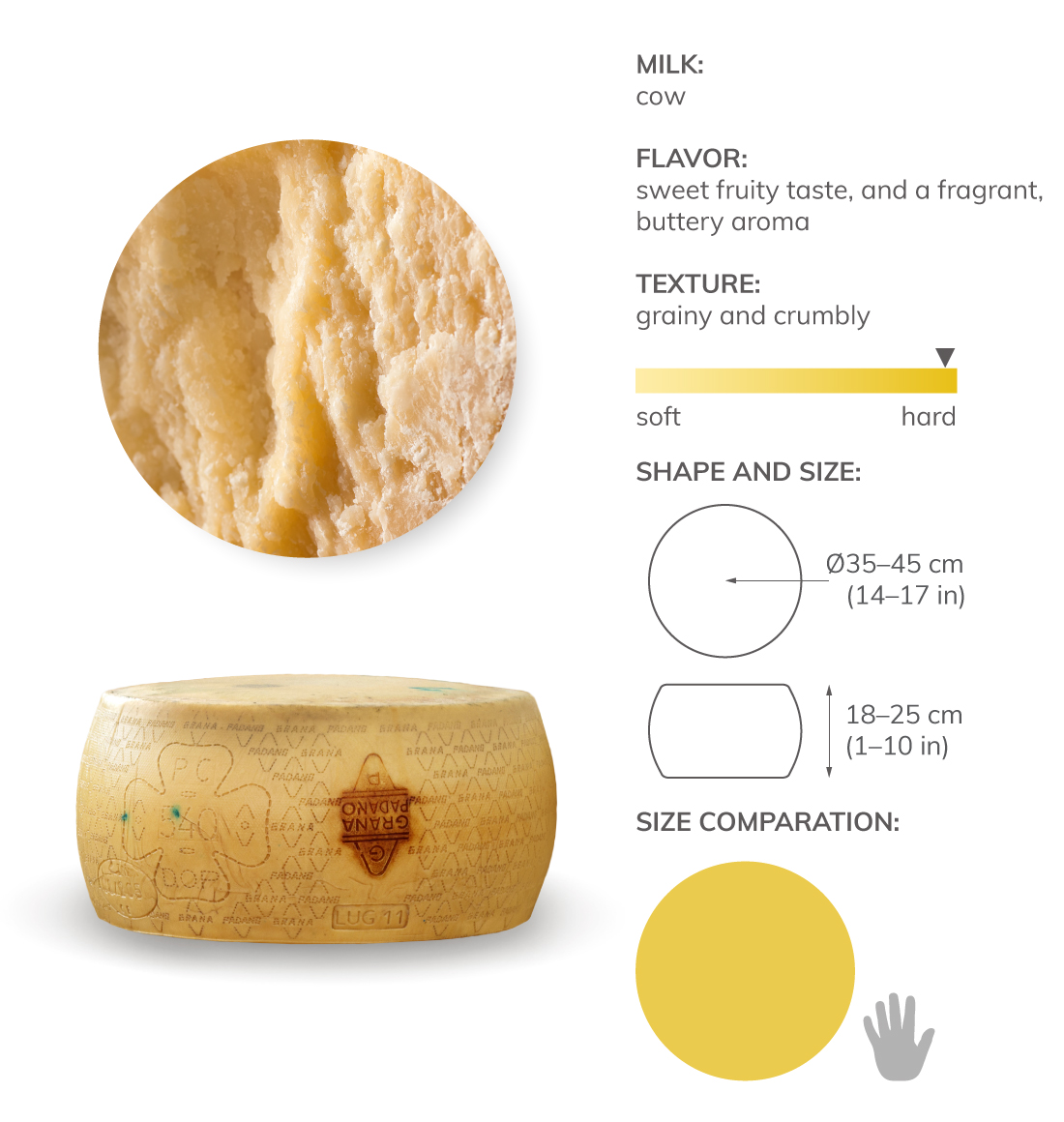 Grana Padano | Local Cheese From Lombardy, Italy | TasteAtlas