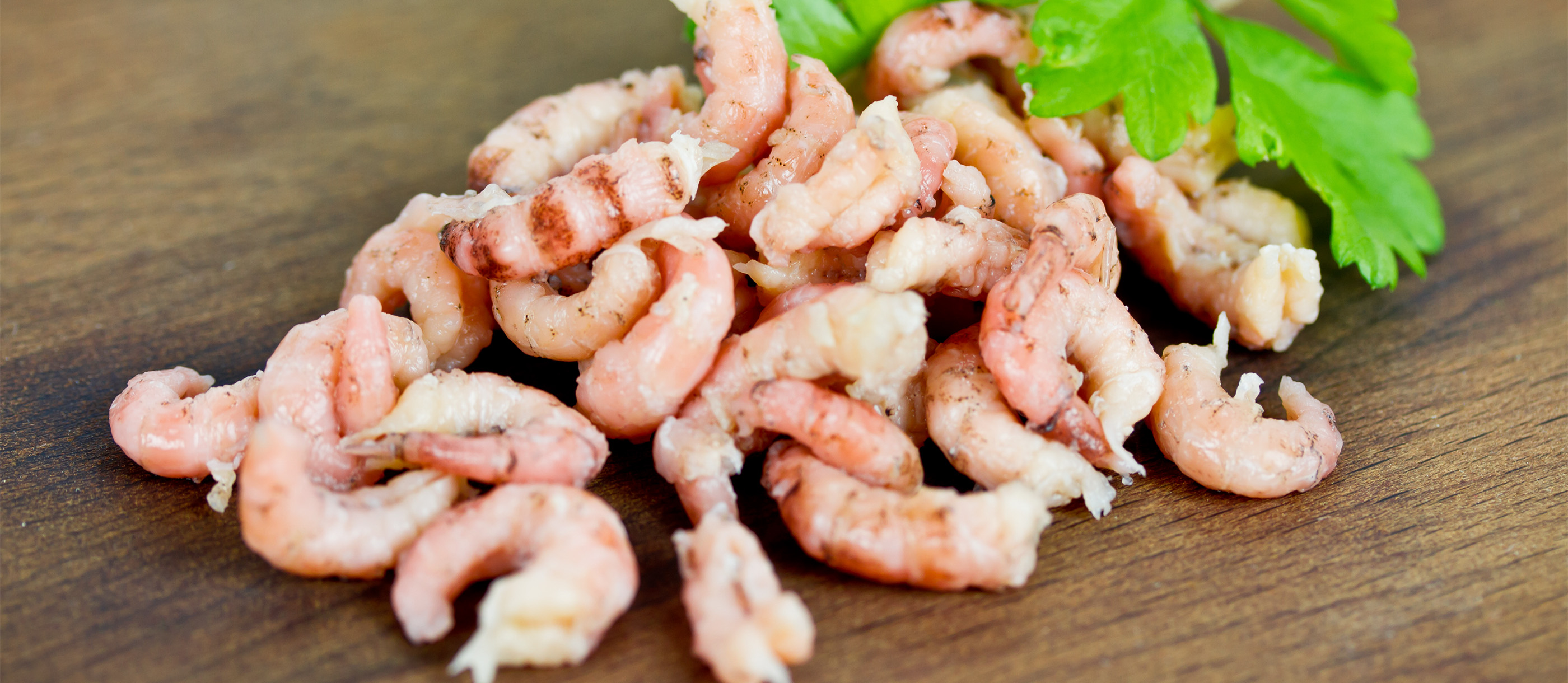 Nordseekrabben | Local Shrimp From Germany