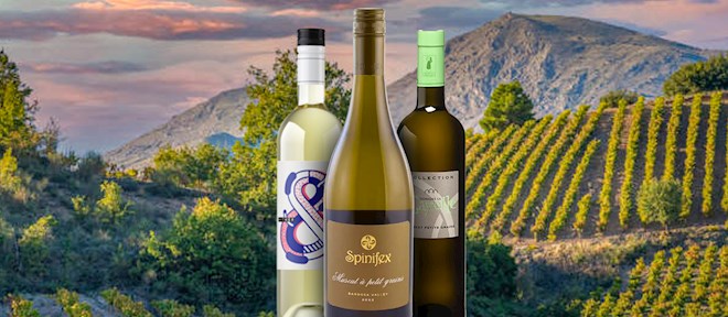 Italian Wine Varieties: 84 Wine Variety Types in Italy | TasteAtlas