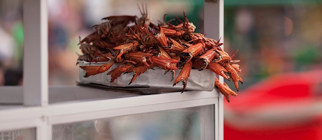 Asian Shellfishes: 8 Shellfish Types in Asia | TasteAtlas