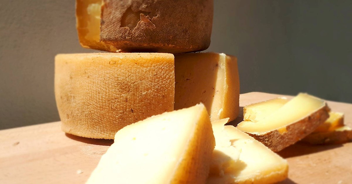 Livanjski Sir | Local Cheese From Livno, Bosnia and Herzegovina