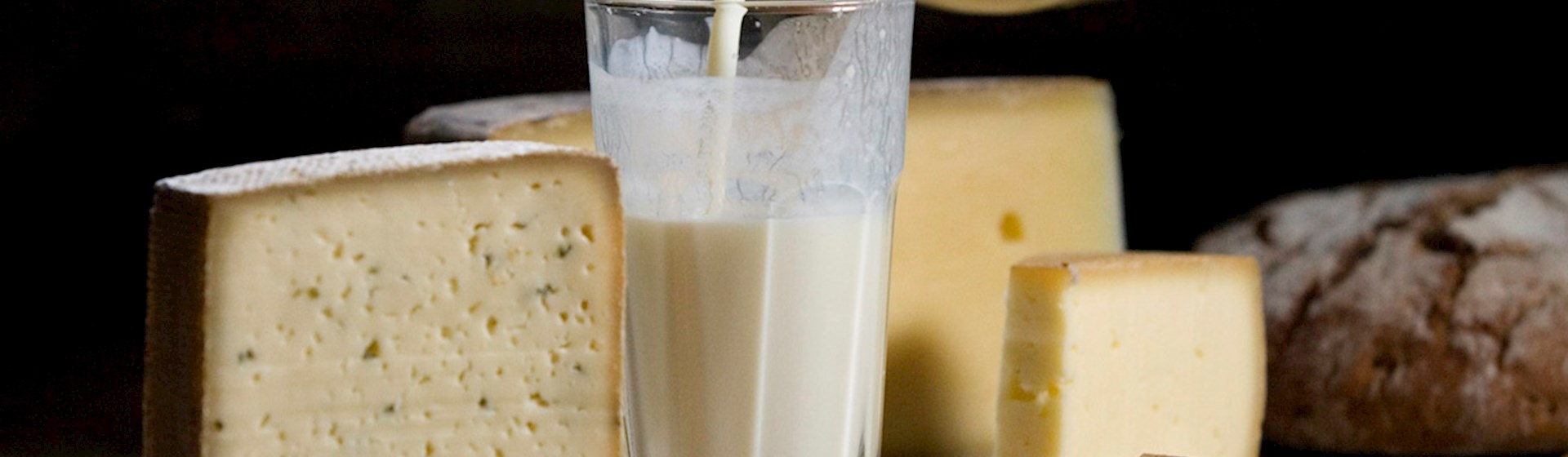 5 Worst Rated Austrian Cheeses - TasteAtlas