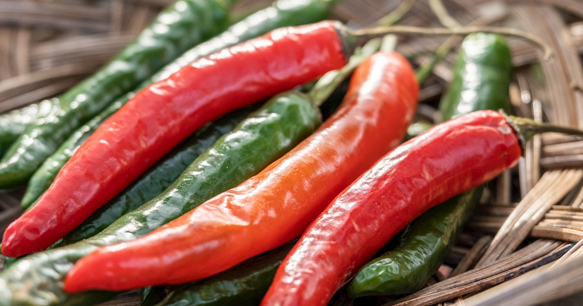 Gochu | Local Hot Pepper From South Korea, East Asia