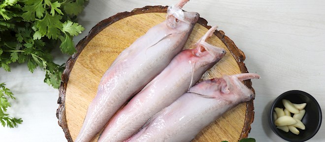 White Fishes of the World: 14 White Fish Types | TasteAtlas