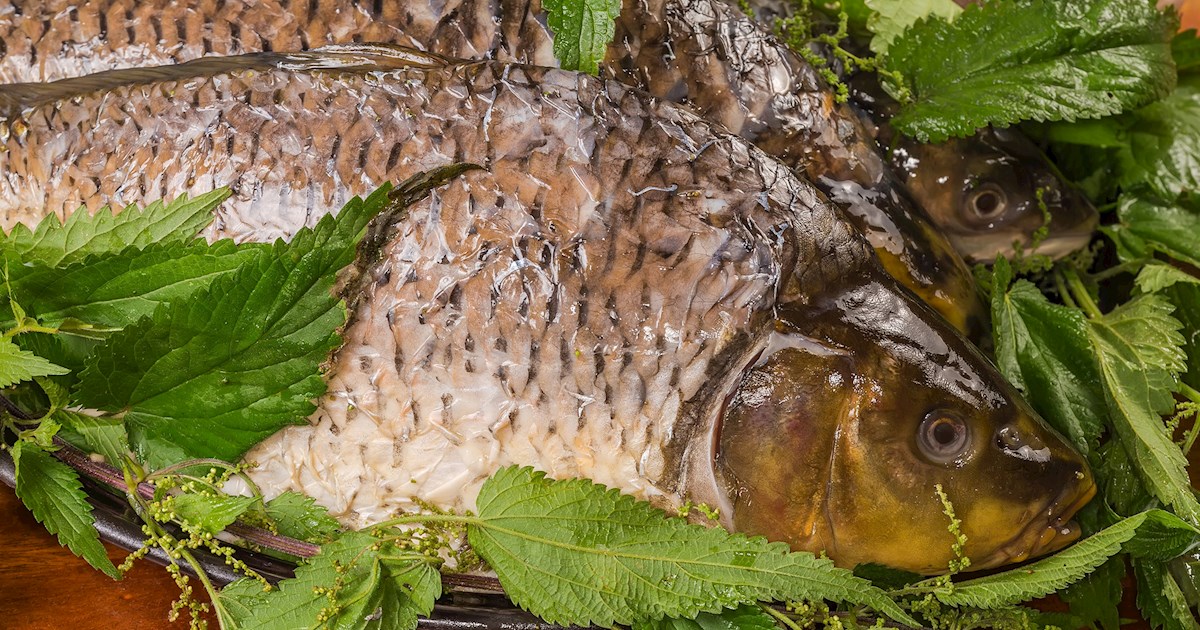 Carps of the World: 14 Carp Types | TasteAtlas