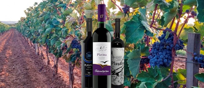 Croatian Red Wines: 10 Red Wine Types in Croatia | TasteAtlas