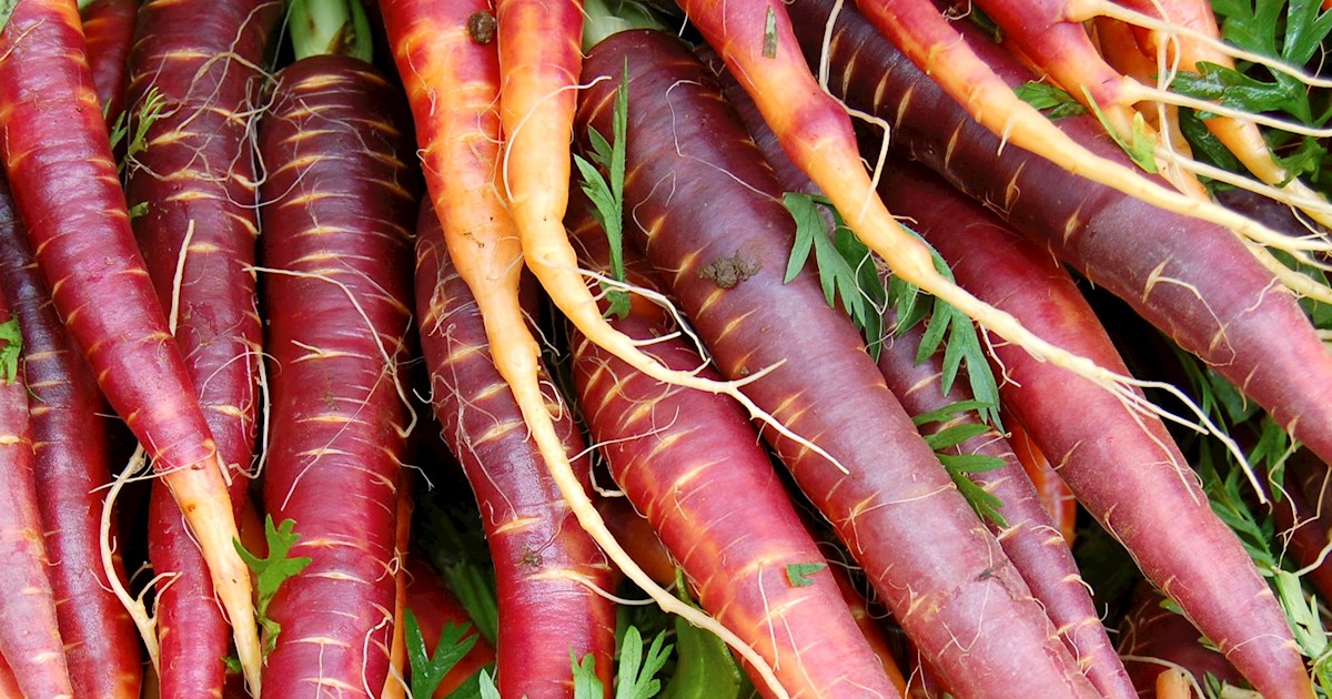 5 Best Carrots in Western Europe - TasteAtlas