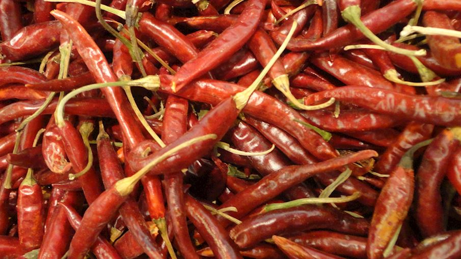 6 Best Rated North American Peppers - TasteAtlas