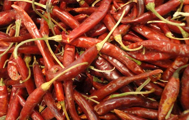 Mexican Hot Peppers: 9 Hot Pepper Types in Mexico | TasteAtlas