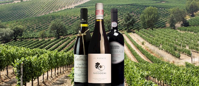 Italian Wine Varieties: 84 Wine Variety Types in Italy | TasteAtlas
