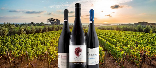Wines of the World: 811 Wine Types | TasteAtlas