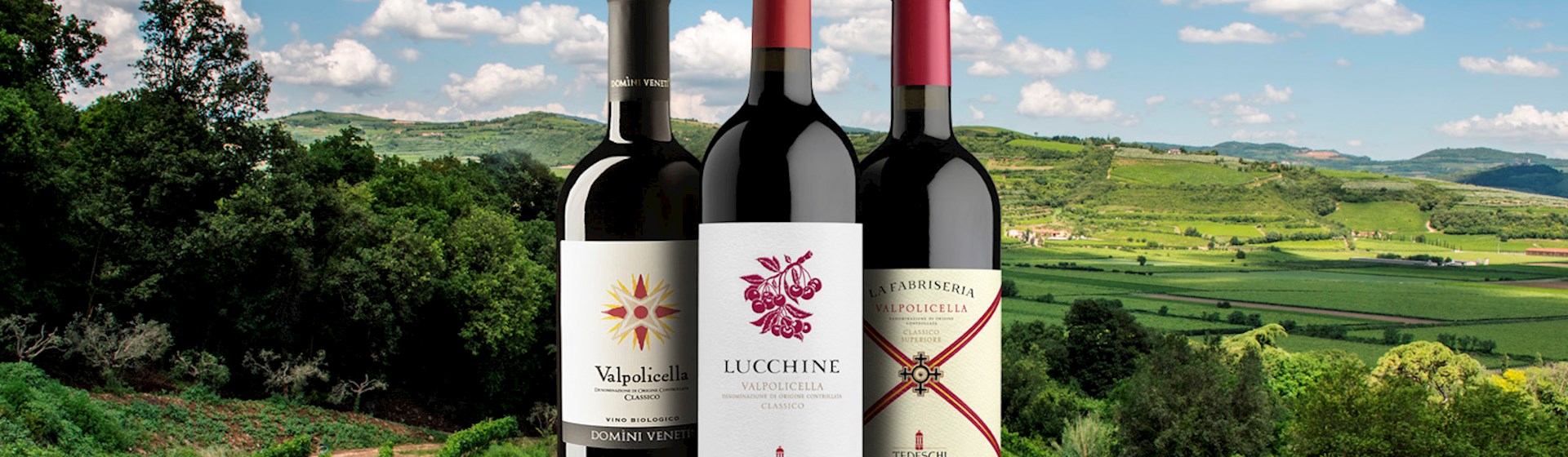 51 Best Red Wines in Veneto - TasteAtlas