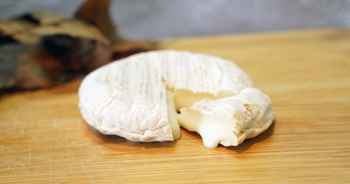 Banon | Local Cheese From Alpes-de-Haute-Provence, France