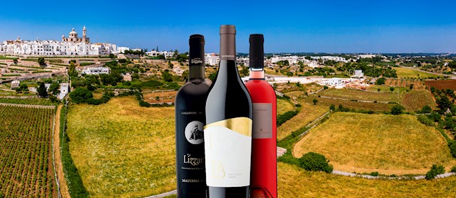 Apulian Red Wines: 11 Red Wine Types in Apulia | TasteAtlas
