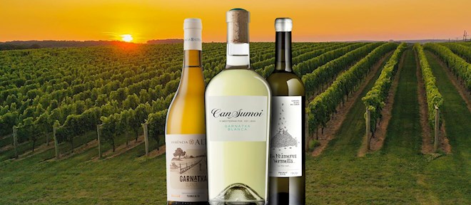 Spanish Wine Varieties: 24 Wine Variety Types in Spain | TasteAtlas