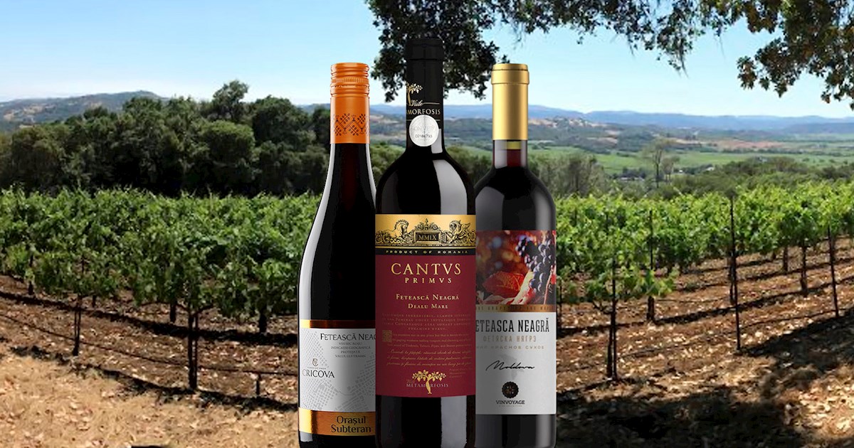 Romanian Alcoholic Beverages: 5 Alcoholic Beverage Types in Romania ...