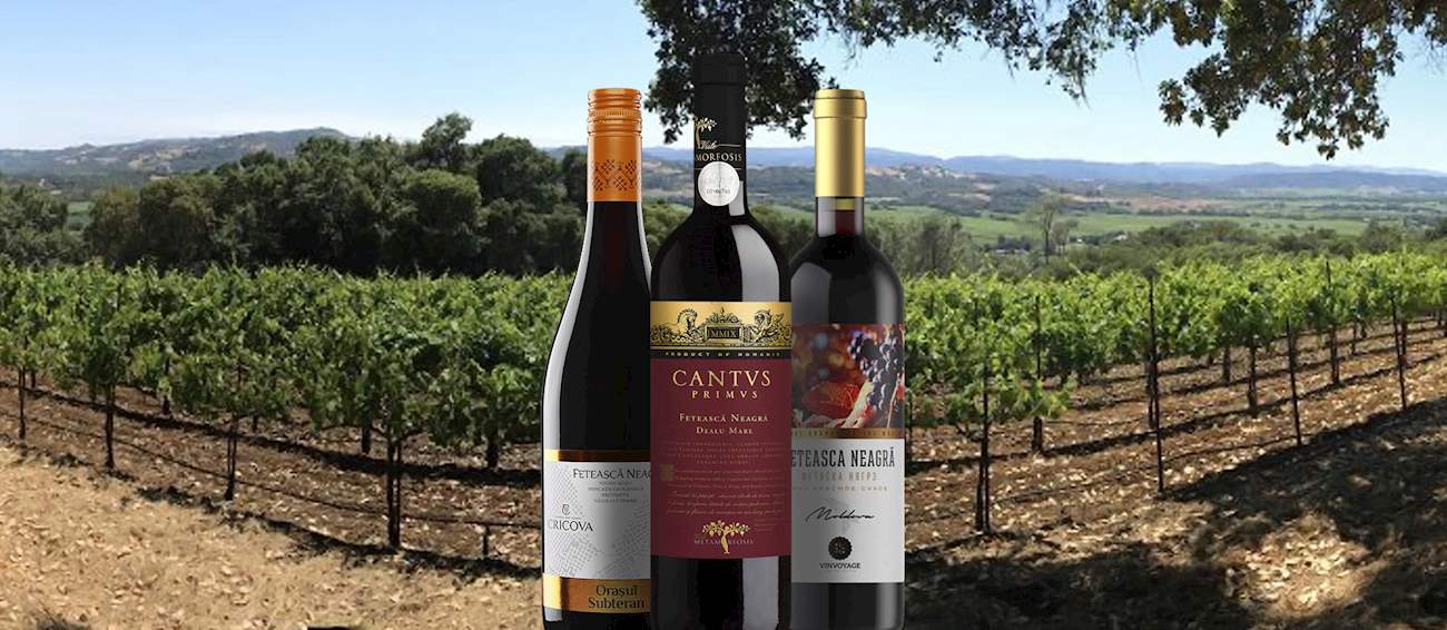 5 Best Rated Romanian Alcoholic Beverages - TasteAtlas