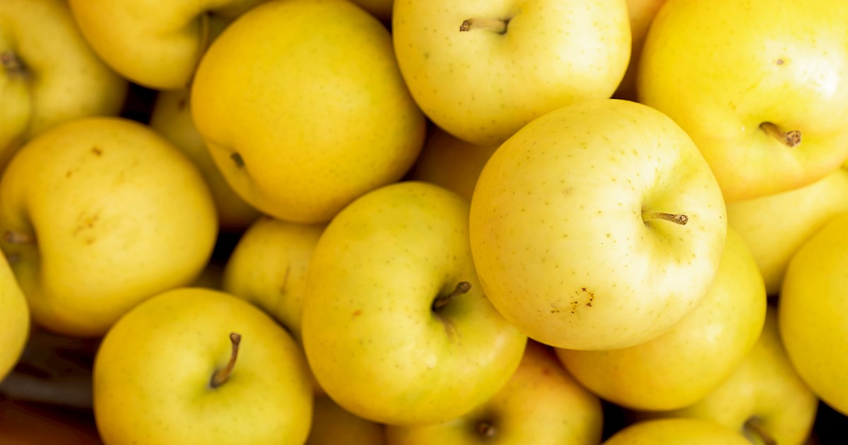 Hawaii Apples | Local Apple Variety From Sebastopol, United States of ...