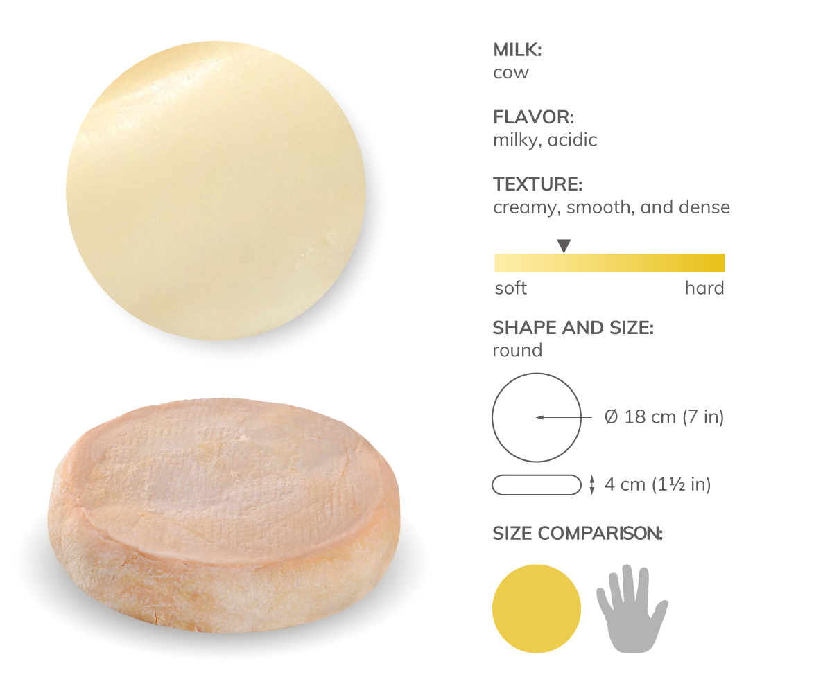 Abbaye de Citeaux | Local Cheese From Burgundy, France