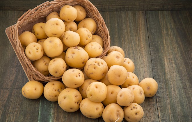 South American Potatoes: 7 Potato Types in South America | TasteAtlas