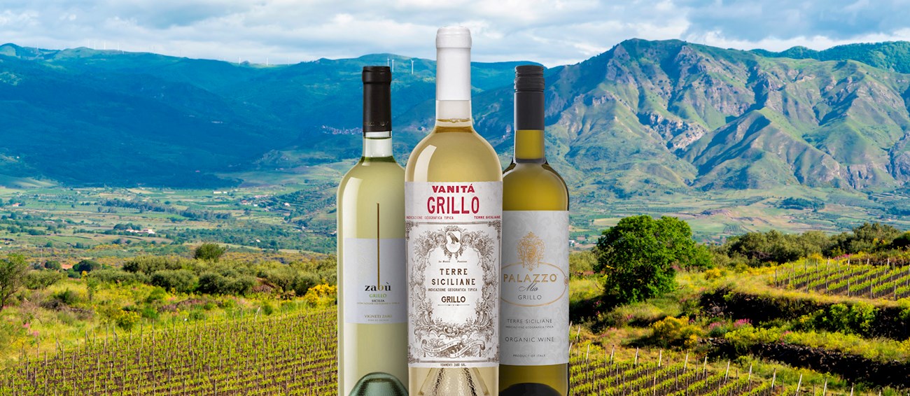 Grillo | Local Wine Variety From Sicily, Italy