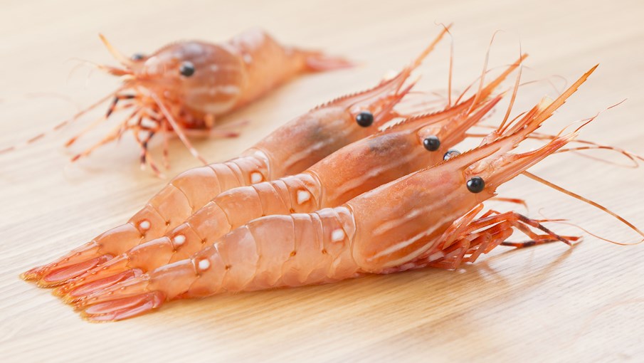 3 Best Prawns in the World - TasteAtlas