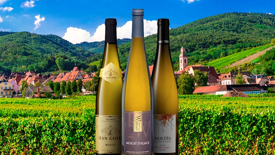 100 Best Wine Appellations in Grand Est - TasteAtlas