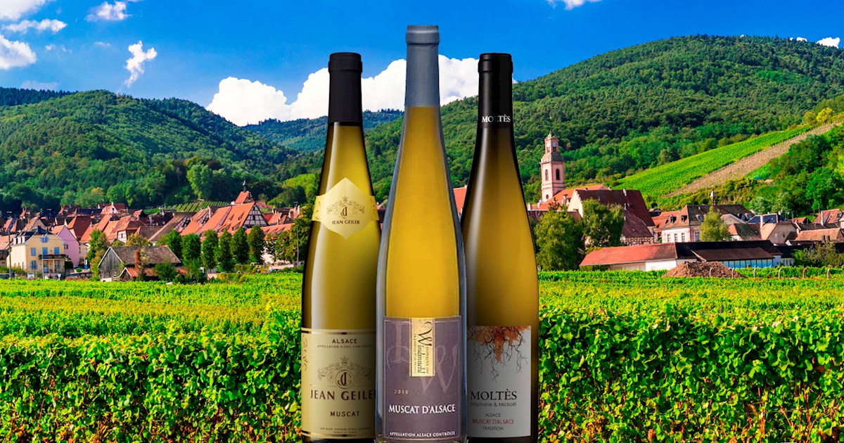 Muscat D'Alsace | Local Wine Appellation From Alsace, France