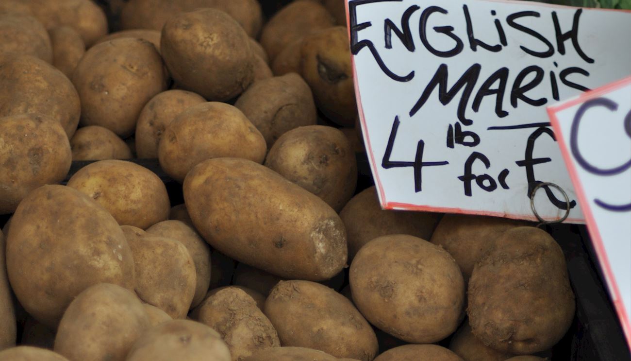 Maris Piper Potatoes | Local Potato From United Kingdom
