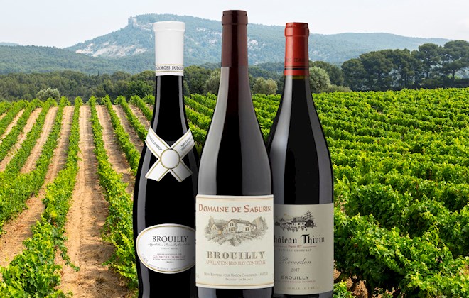 French Red Wines: 74 Red Wine Types in France | TasteAtlas