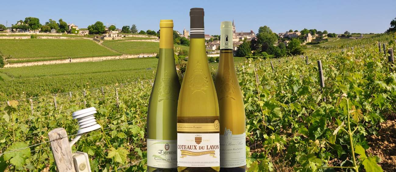 Coteaux du Layon | Local Wine Appellation From Maine-et-Loire, France