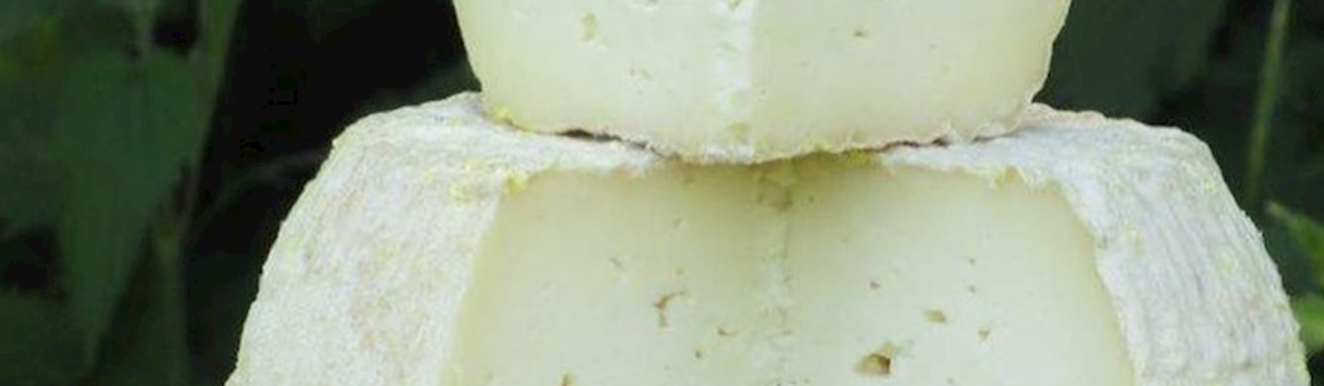 4 Best Sheep's Milk Cheeses in Somerset - TasteAtlas