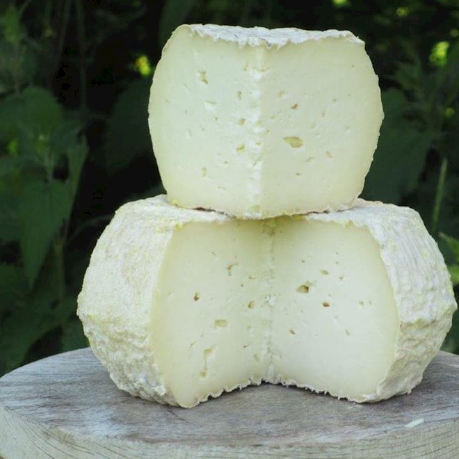 Cheeses of Somerset: 17 Somerset Types | TasteAtlas
