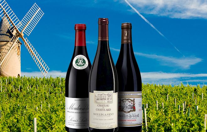 French Red Wines: 74 Red Wine Types in France | TasteAtlas