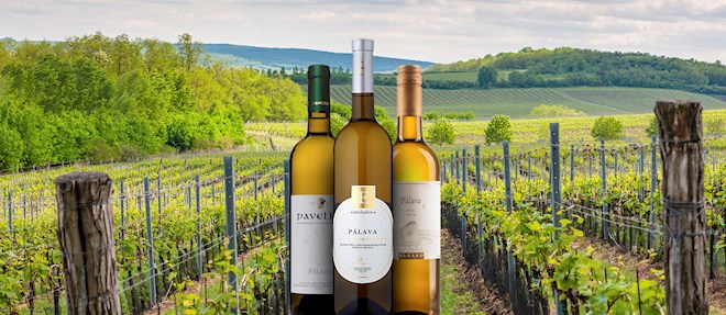 Wine Varieties of the World: 303 Wine Variety Types | TasteAtlas