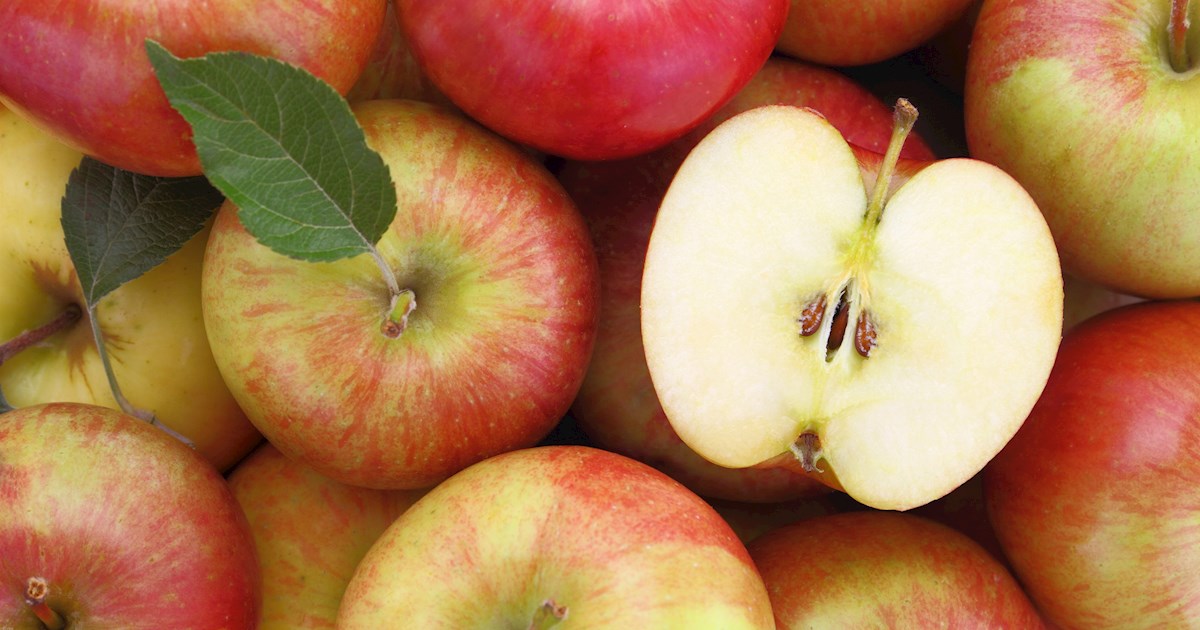 Kentucky Limbertwig Apples | Local Apple Variety From Kentucky, United ...