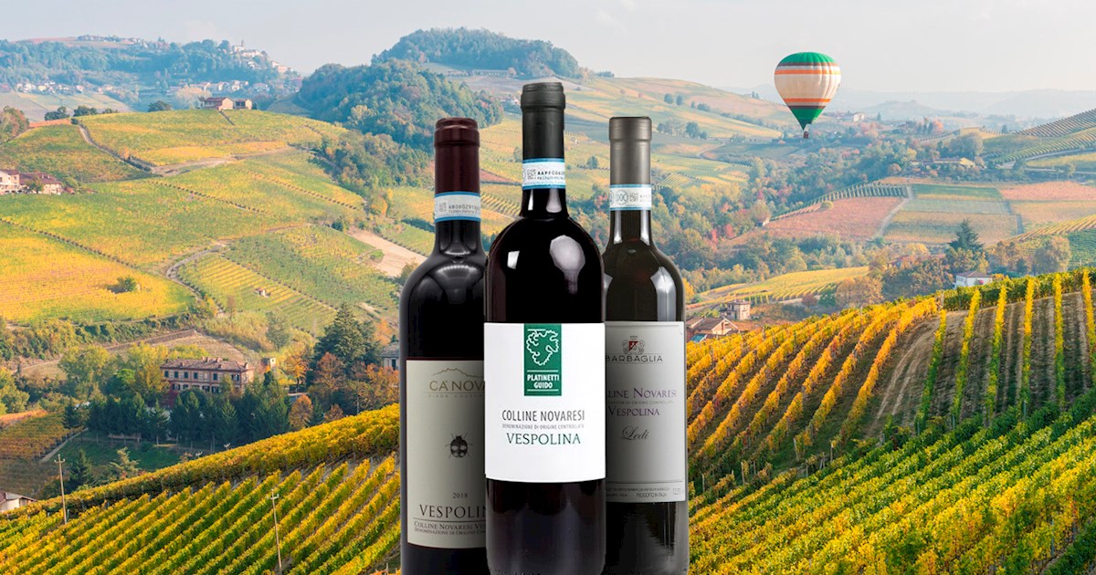 Vespolina | Local Wine Variety From Piedmont, Italy