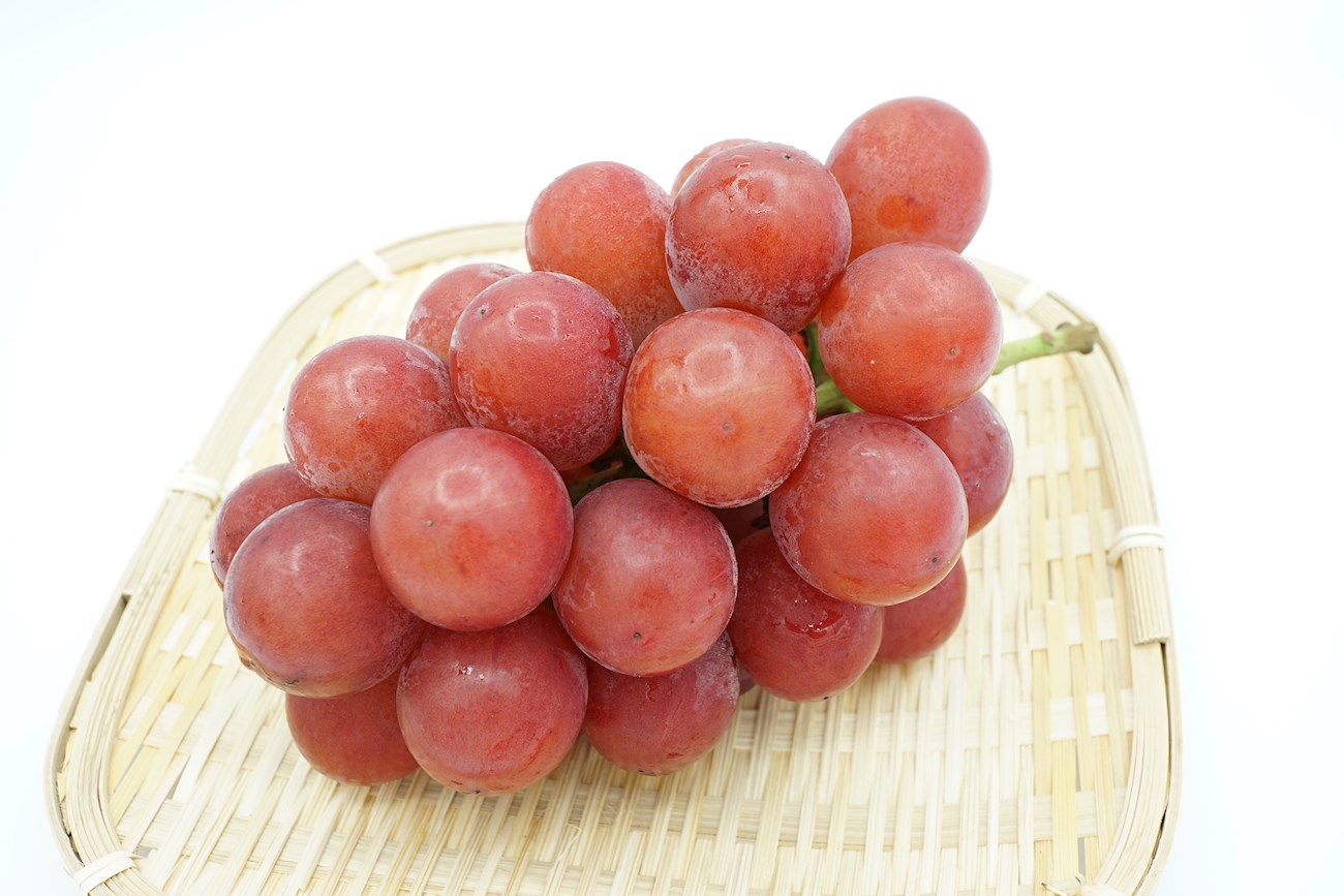 Ruby Roman Grapes | Local Red Grapes From Ishikawa Prefecture, Japan