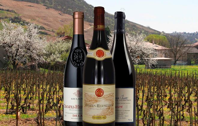 French Red Wines: 74 Red Wine Types in France | TasteAtlas