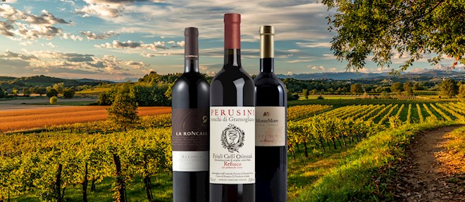 Italian Red Wines: 138 Red Wine Types in Italy | TasteAtlas