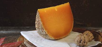 TasteAtlas - Local food around the world