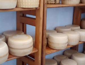 Local Food in Apulia | Apulia Food Map | TasteAtlas