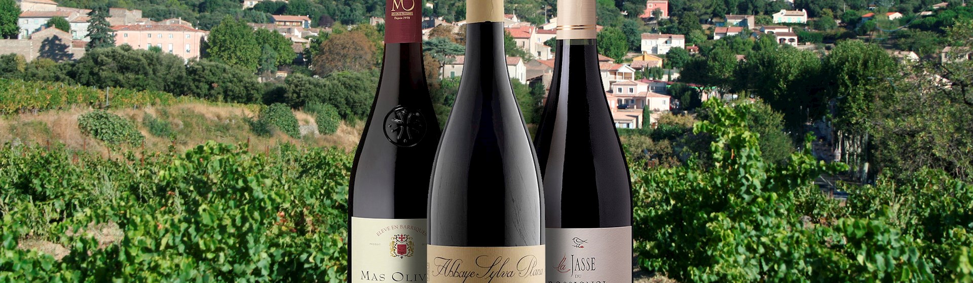 14 Best Red Wines in Languedoc-Roussillon - TasteAtlas
