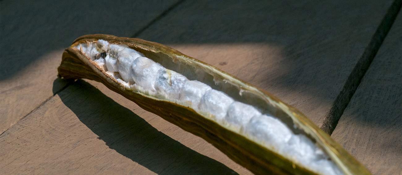 Pacay | Local Legumes From Peru