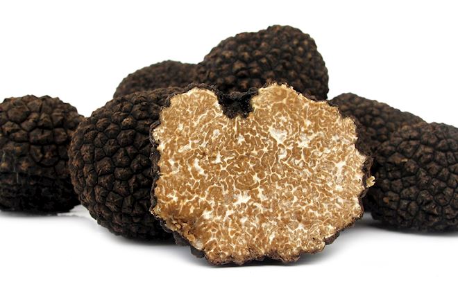Italian Truffles: 8 Truffle Types in Italy | TasteAtlas