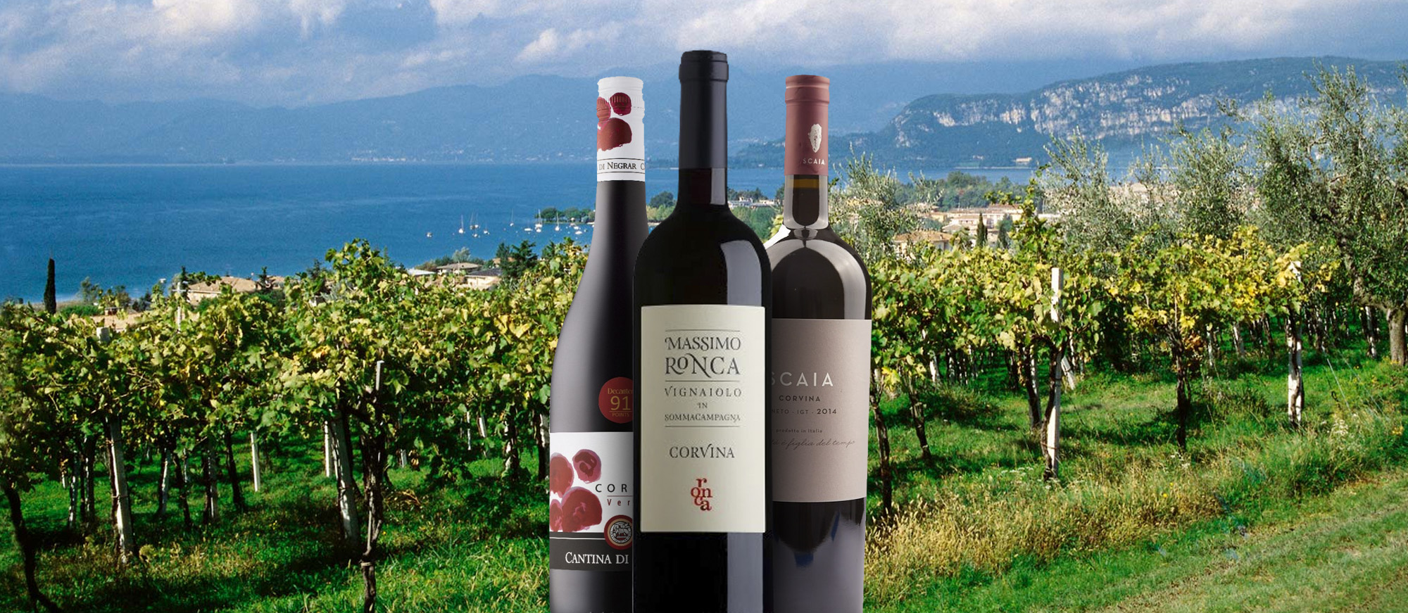 Venetian Red Wines: 9 Red Wine Types in Veneto | TasteAtlas