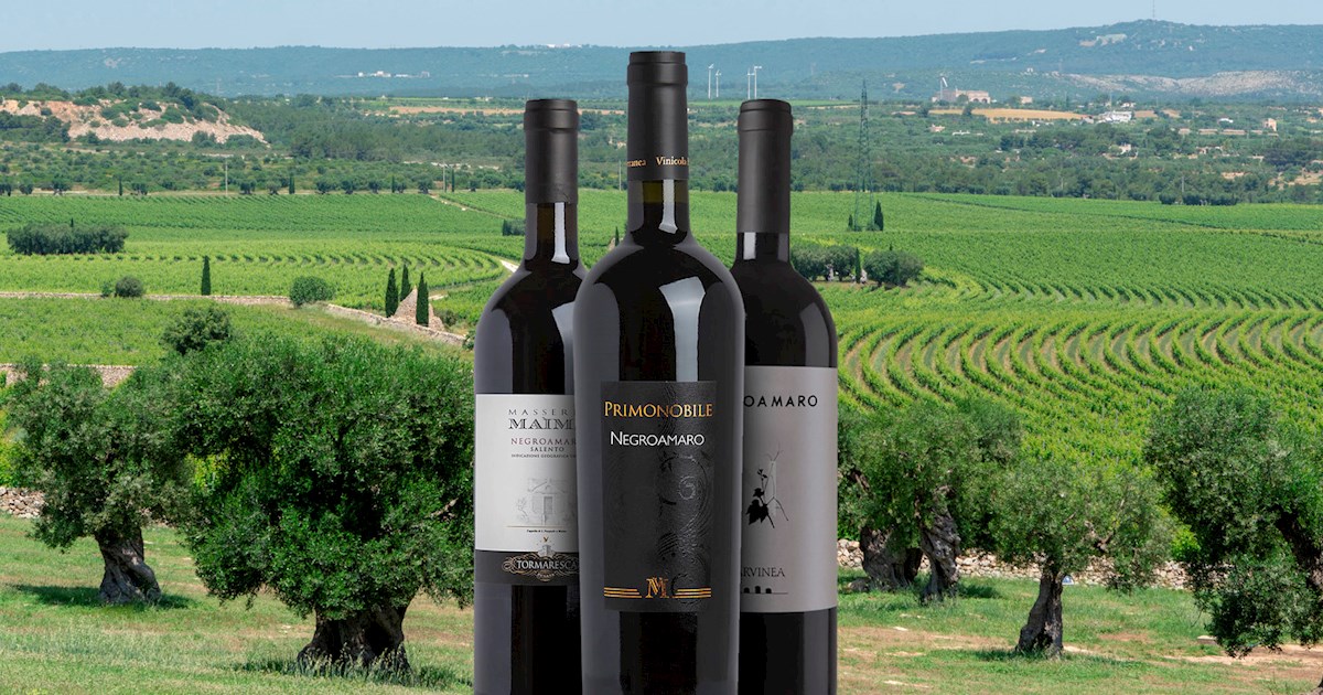 6 Best Wine Varieties in Apulia - TasteAtlas