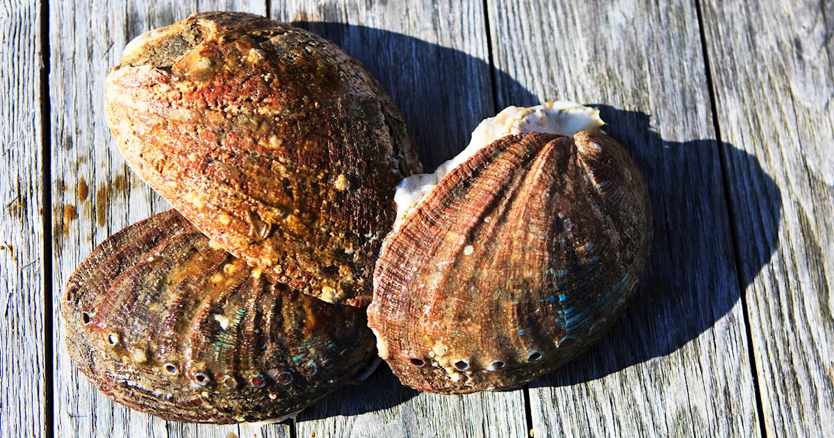 British Shellfishes: 12 Shellfish Types in United Kingdom | TasteAtlas
