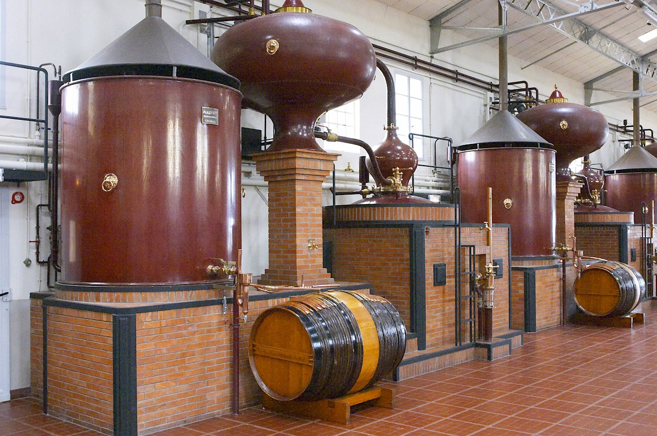 Cognac | Local Brandy From Cognac, France