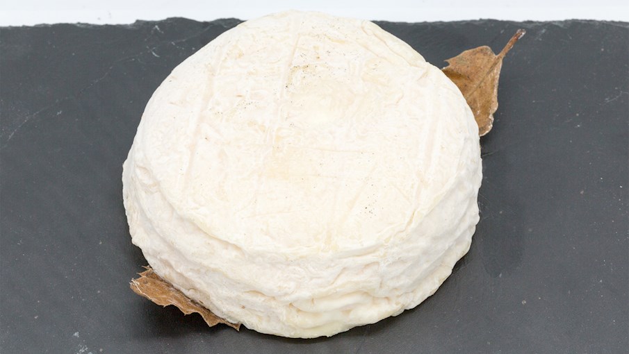 50 Most Popular European Bloomy Rind Cheeses - TasteAtlas